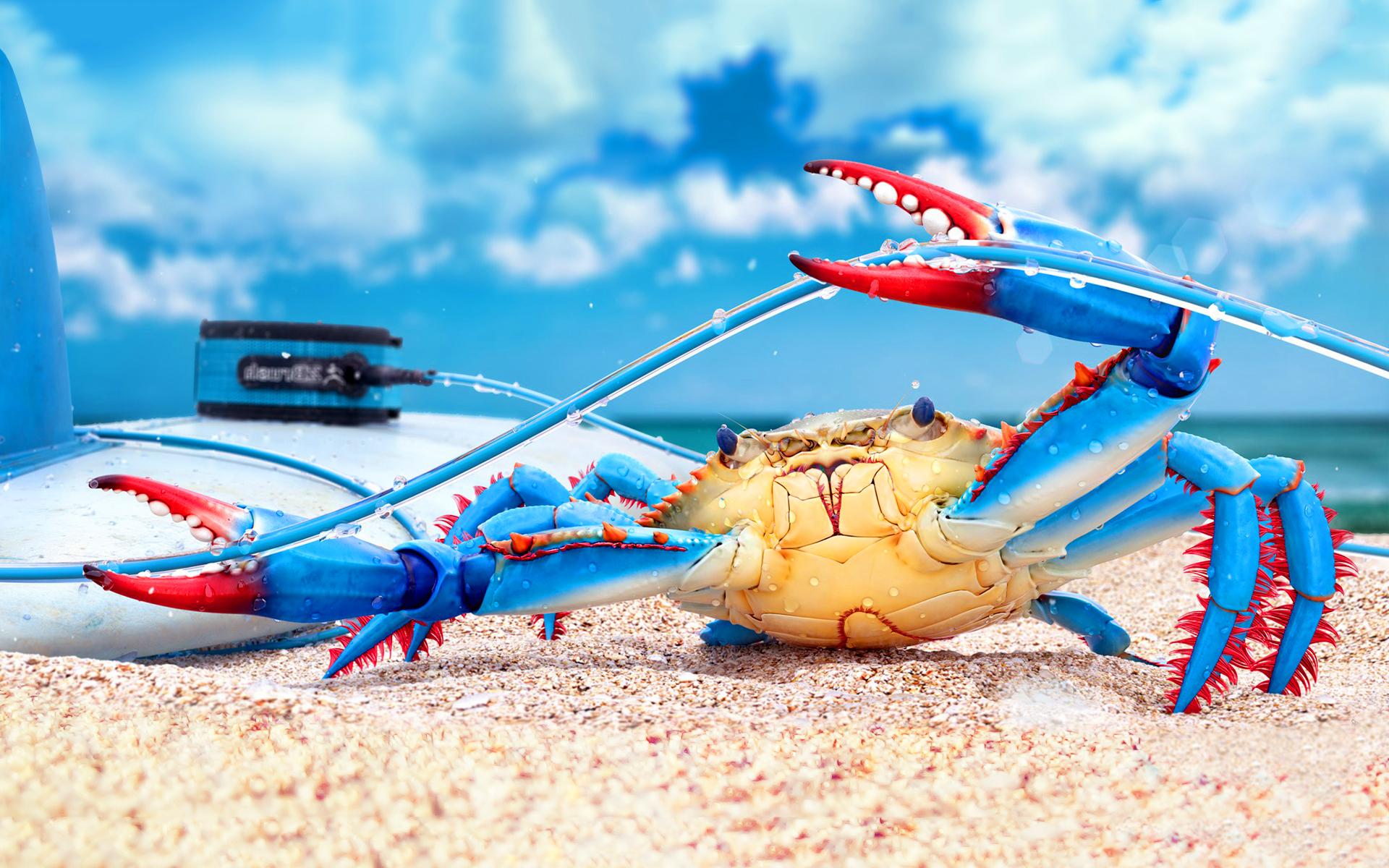Crab Desktop Wallpapers - Top Free Crab Desktop Backgrounds ...