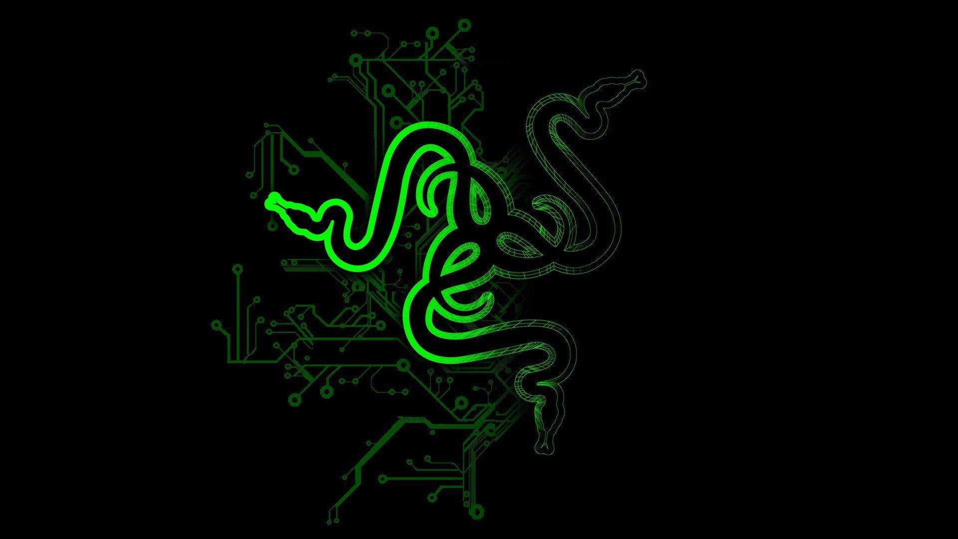 Razer Logo Wallpapers - Top Free Razer Logo Backgrounds - WallpaperAccess