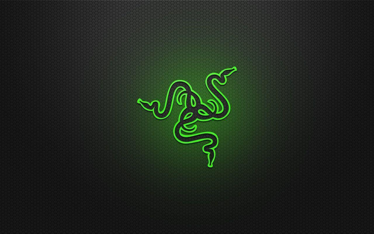 Razer Logo Wallpapers - Top Free Razer Logo Backgrounds - WallpaperAccess