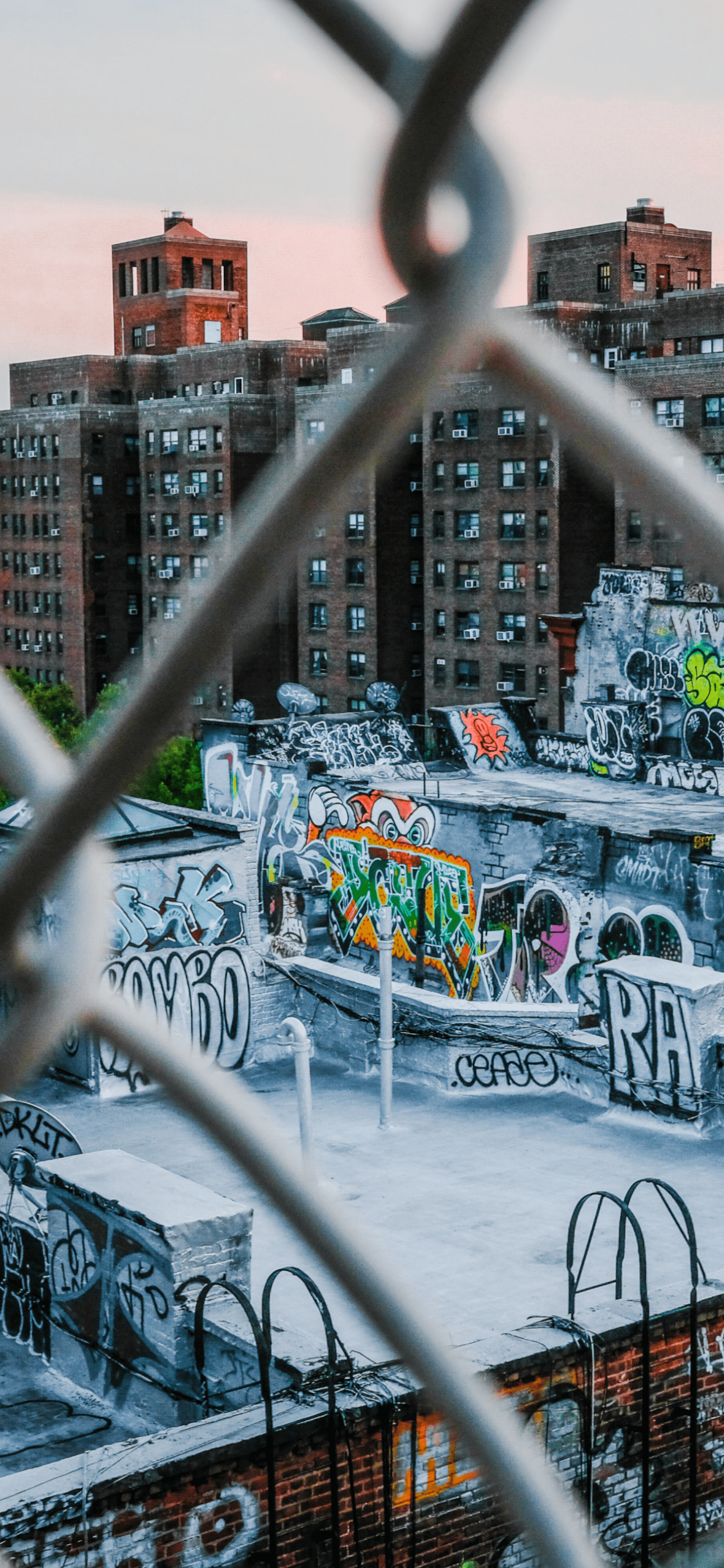 Graffiti Art iPhone Wallpapers - Top Free Graffiti Art iPhone ...