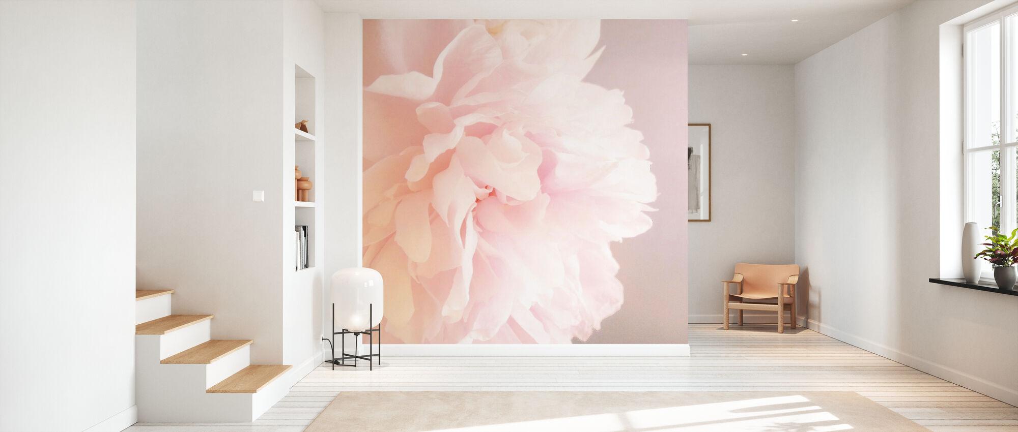 Light Pink Peonies Wallpapers - Top Free Light Pink Peonies Backgrounds ...