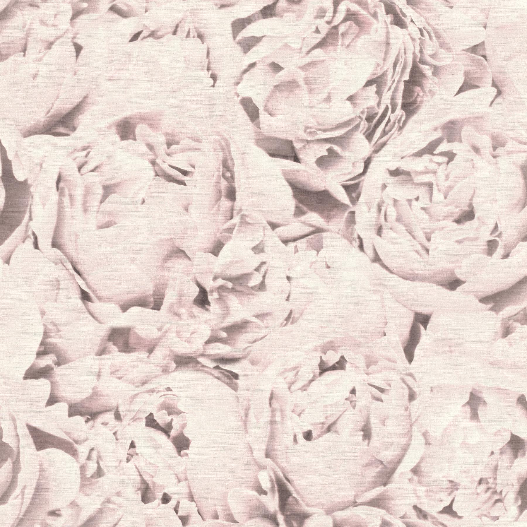 Light Pink Peonies Wallpapers - Top Free Light Pink Peonies Backgrounds ...
