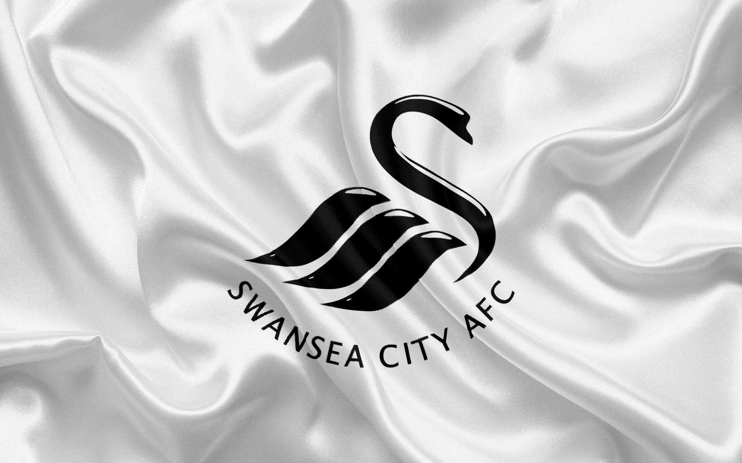 Swansea City Wallpapers - Top Free Swansea City Backgrounds - WallpaperAccess