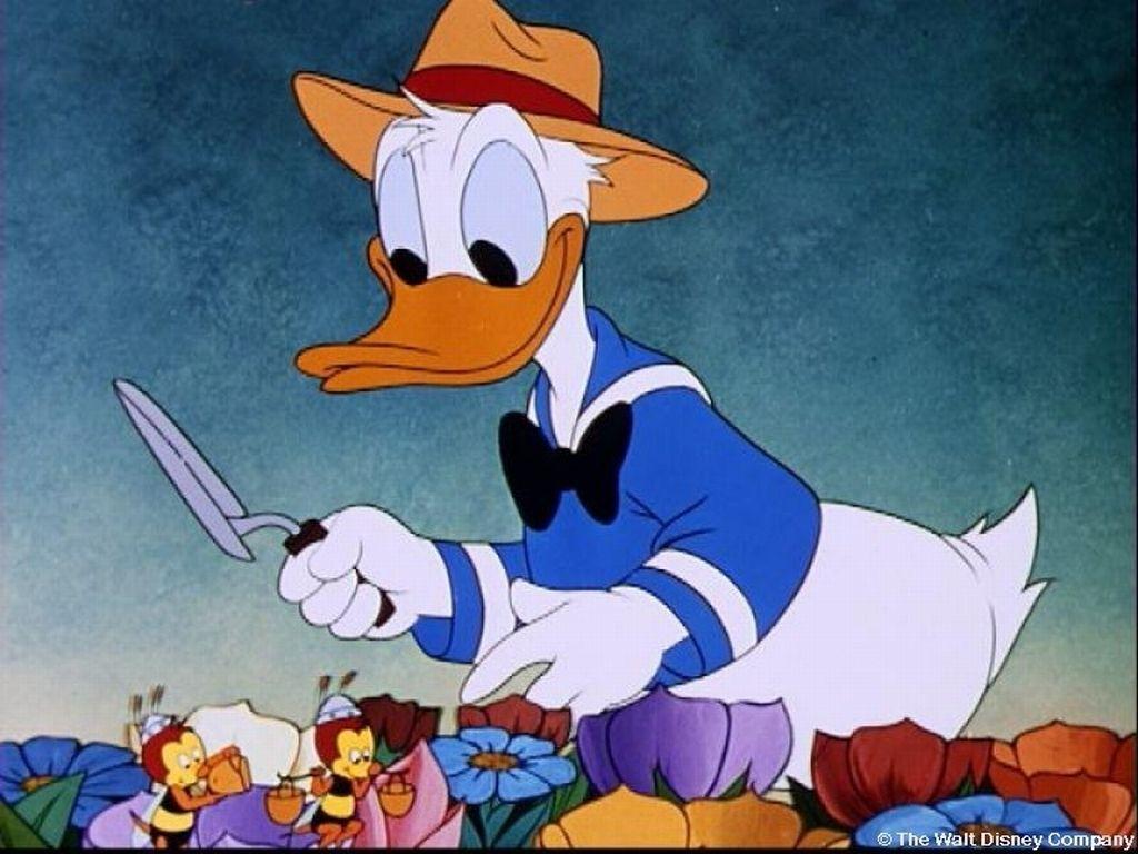 Vintage Donald Duck Wallpapers - Top Free Vintage Donald Duck ...