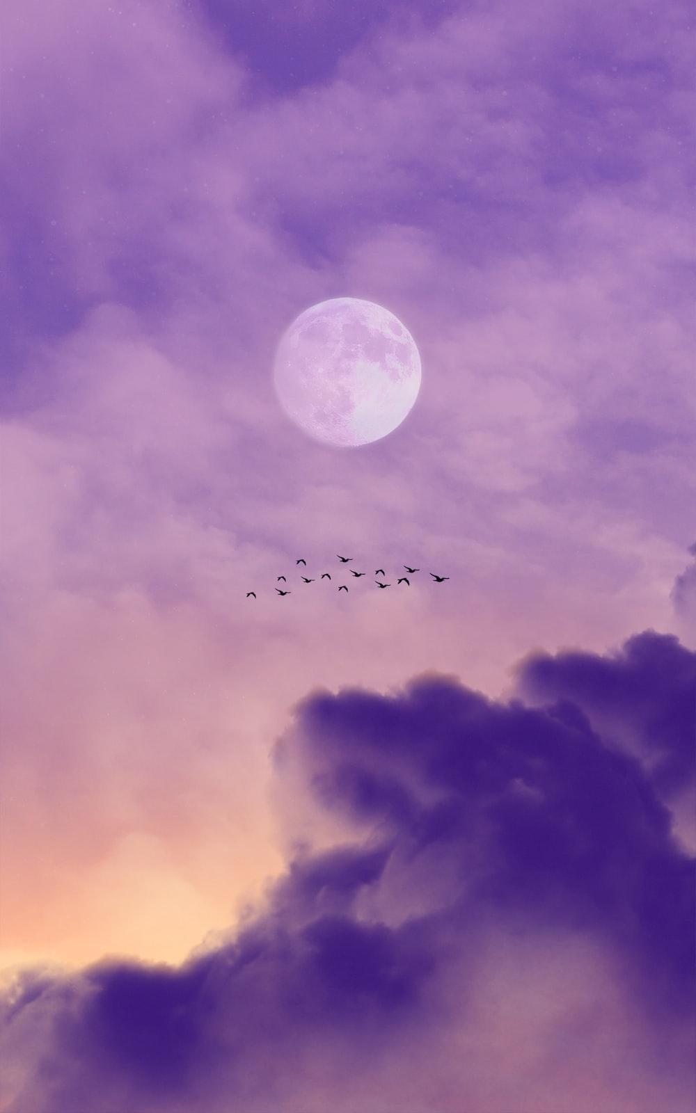 Pink and Blue Moon Wallpapers - Top Free Pink and Blue Moon Backgrounds ...