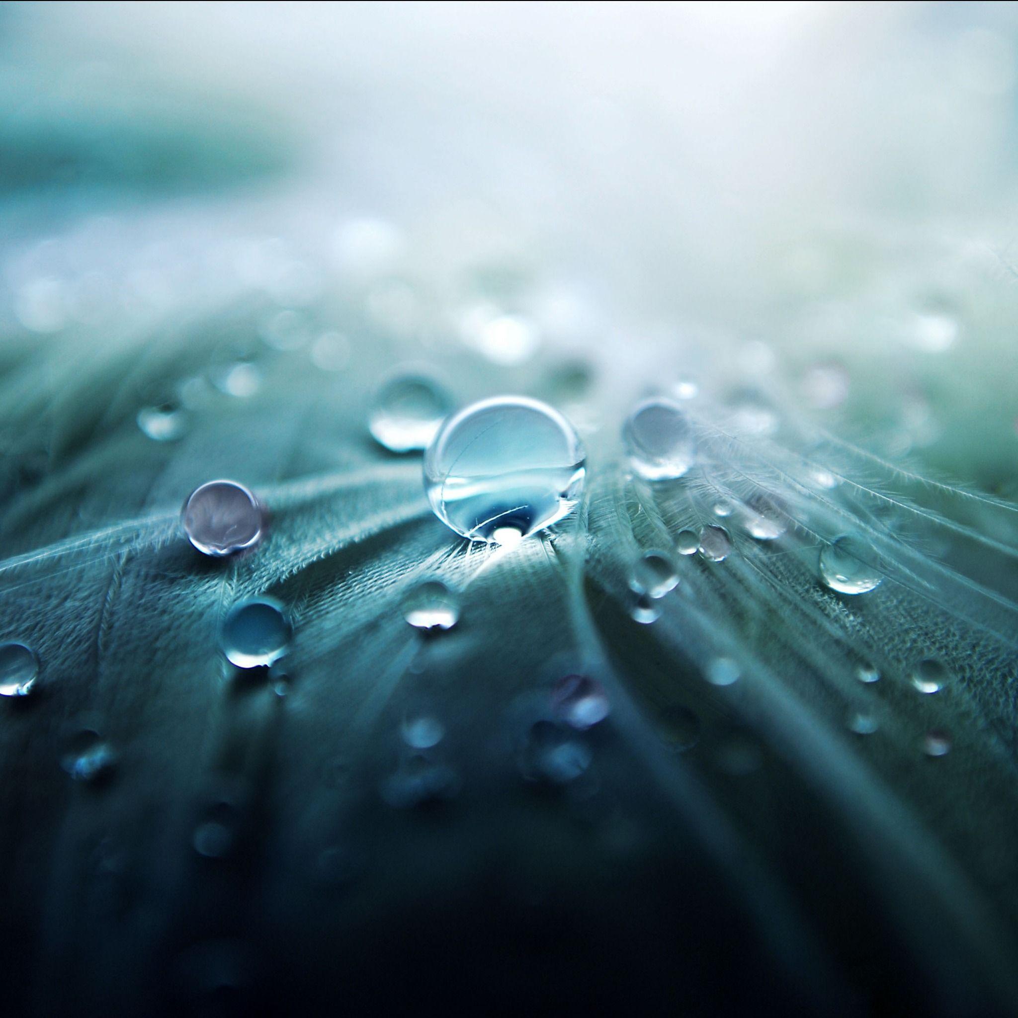 Macro Photography Nature Wallpapers - Top Free Macro Photography Nature ...