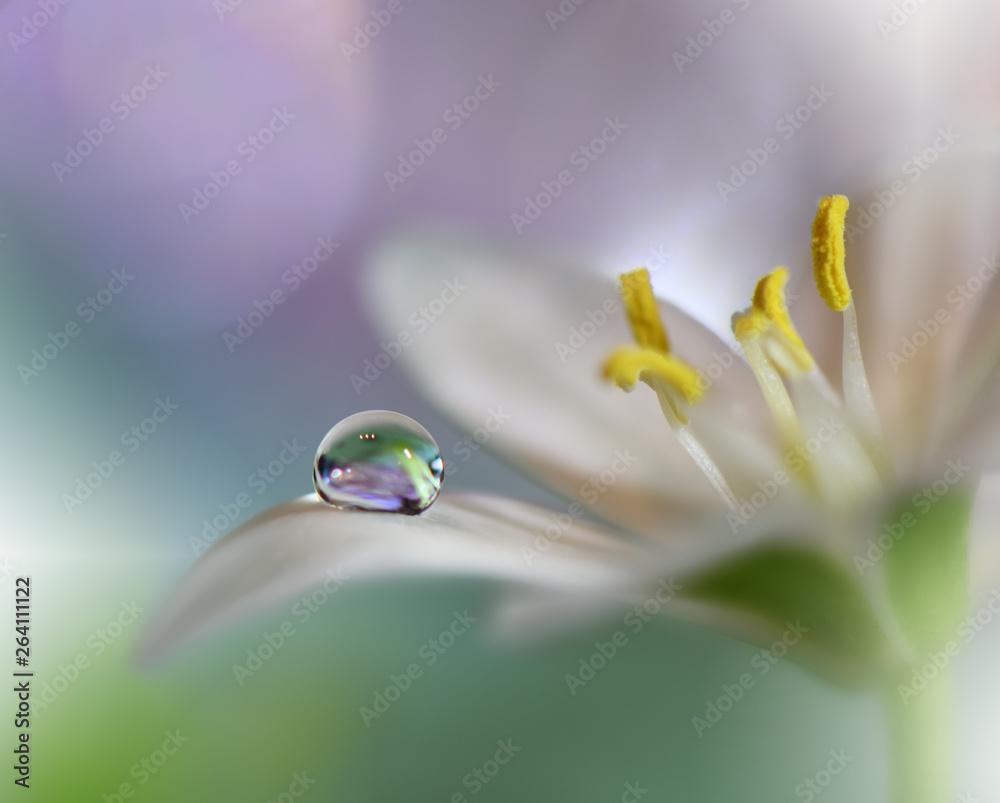 Macro Photography Nature Wallpapers - Top Free Macro Photography Nature ...