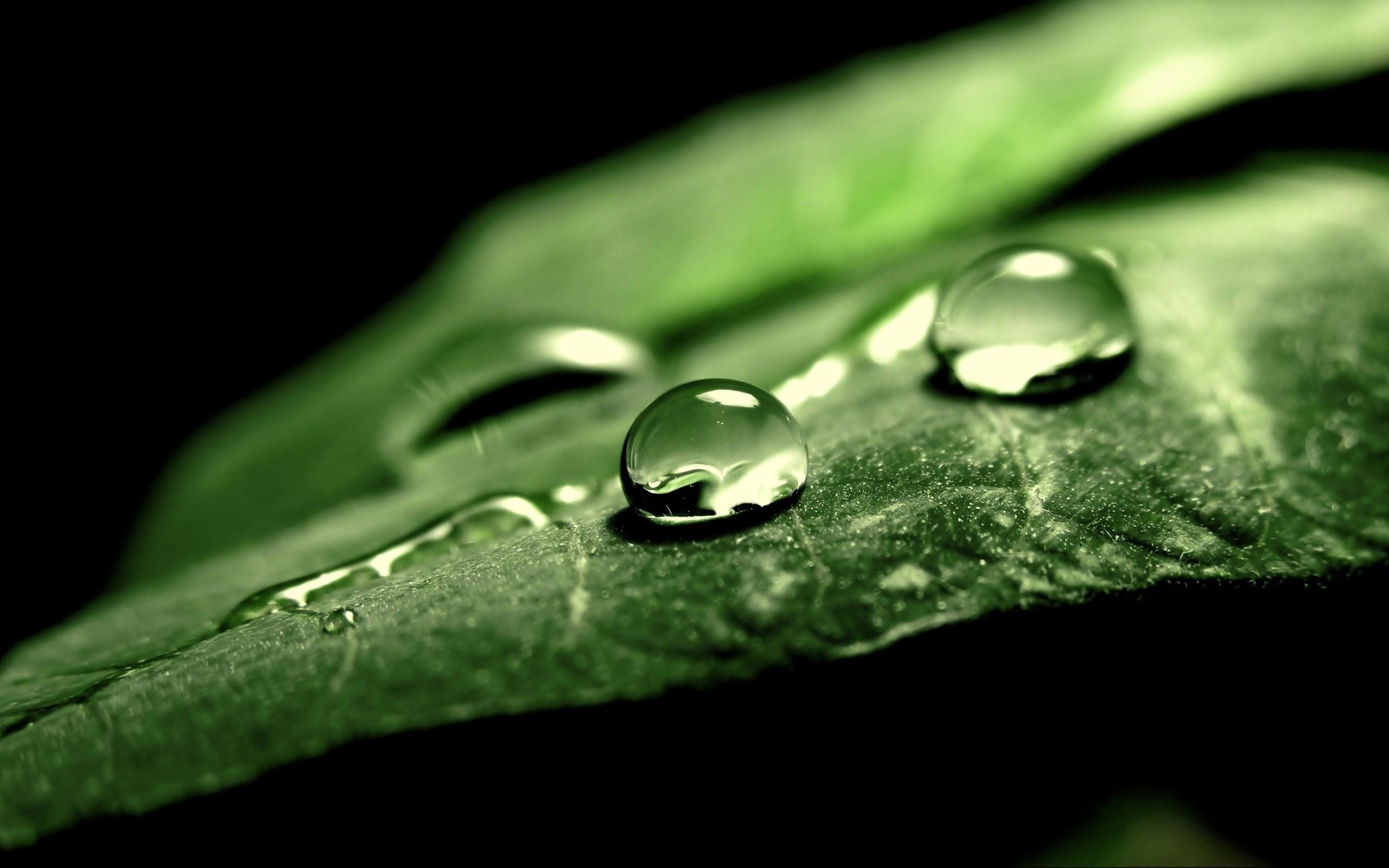 Macro Photography Nature Wallpapers - Top Free Macro Photography Nature ...