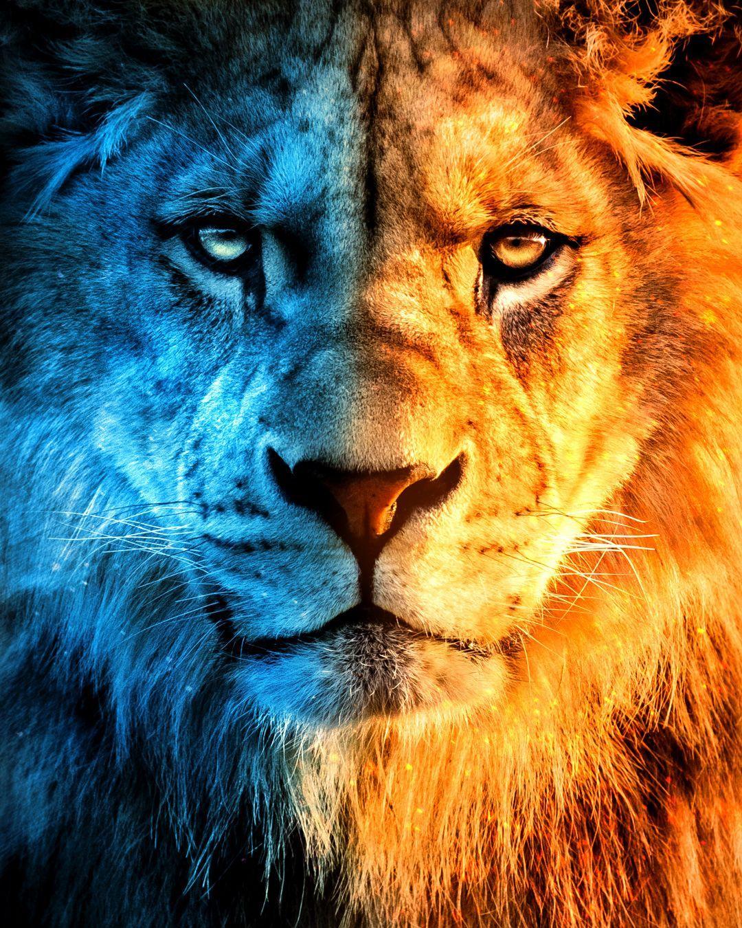 Lightning Lion Wallpapers - Top Free Lightning Lion Backgrounds - WallpaperAccess