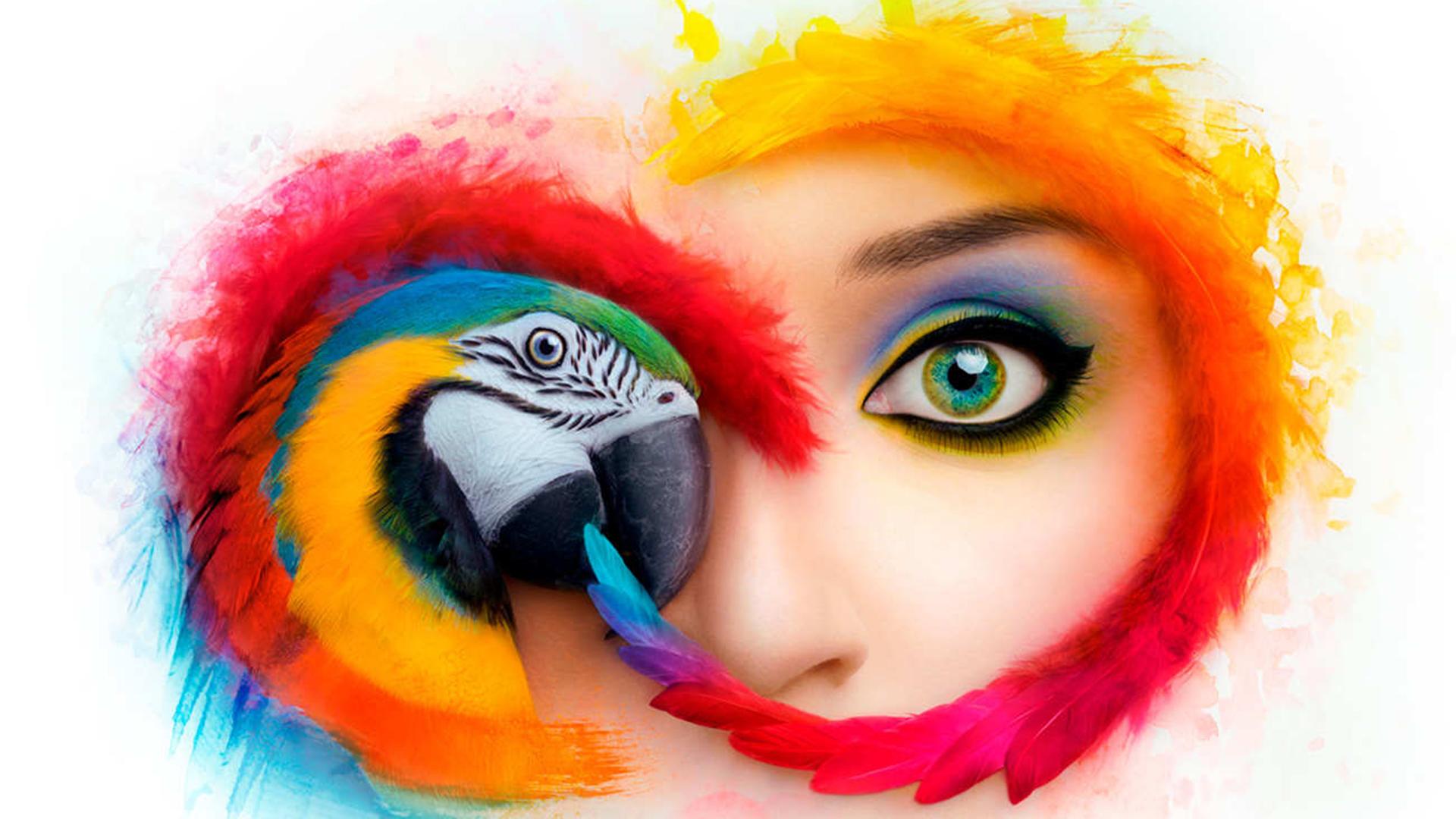 Adobe Creative Cloud Wallpapers - Top Free Adobe Creative Cloud ...