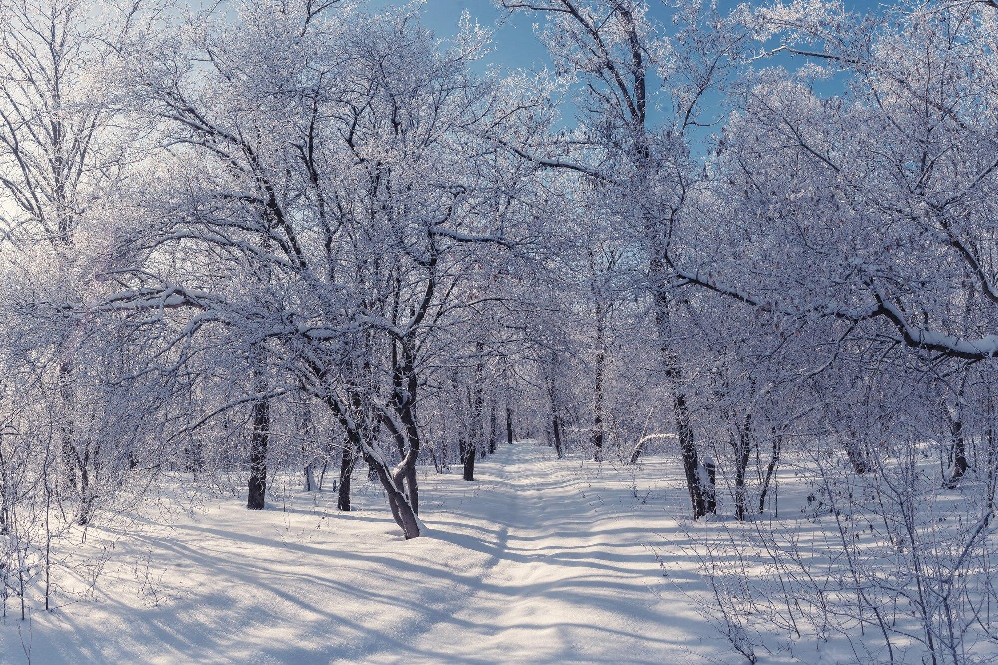 Retro Snow Wallpapers - Top Free Retro Snow Backgrounds - WallpaperAccess