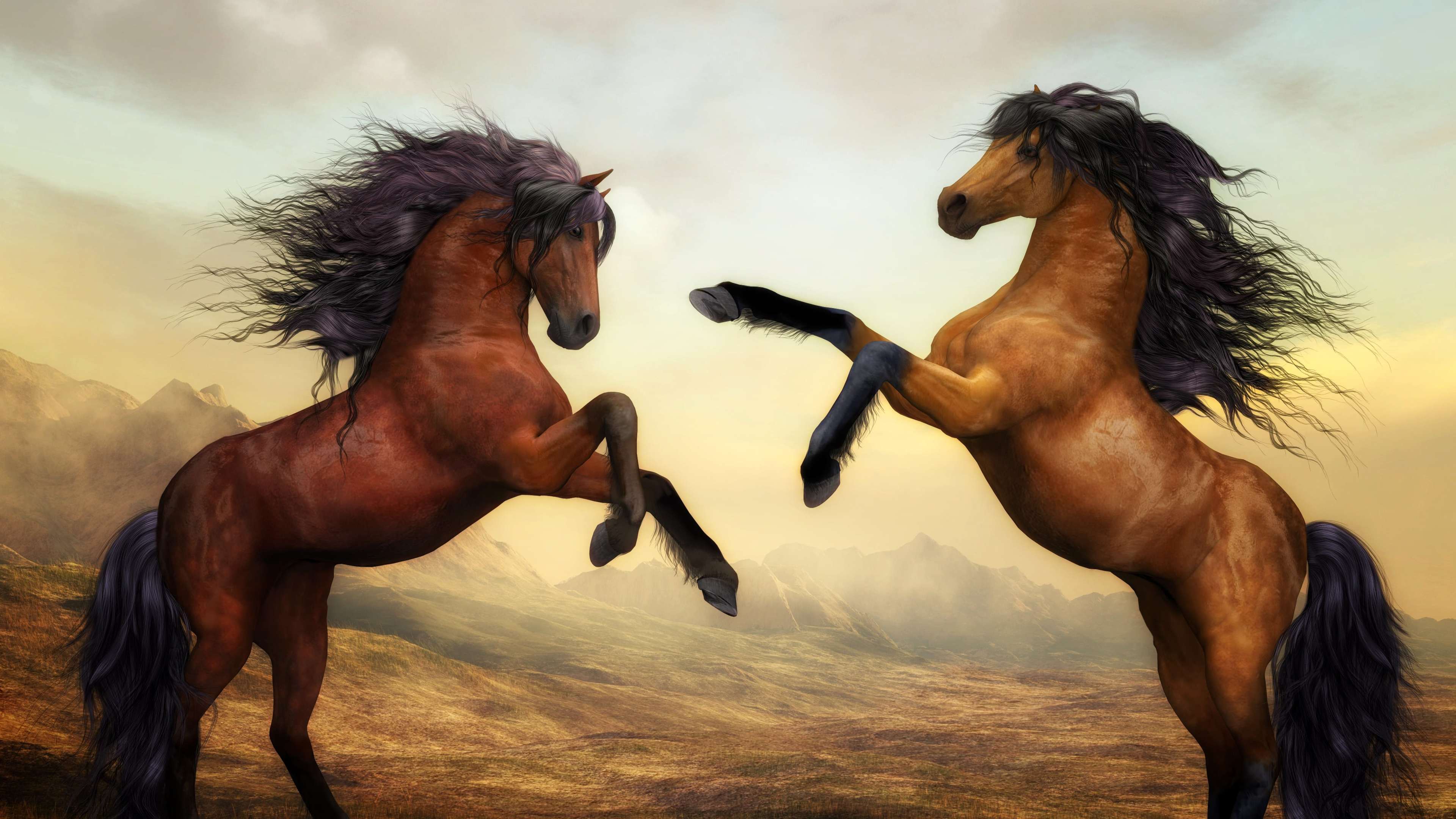 4K Horse Wallpapers - Top Free 4K Horse Backgrounds - WallpaperAccess