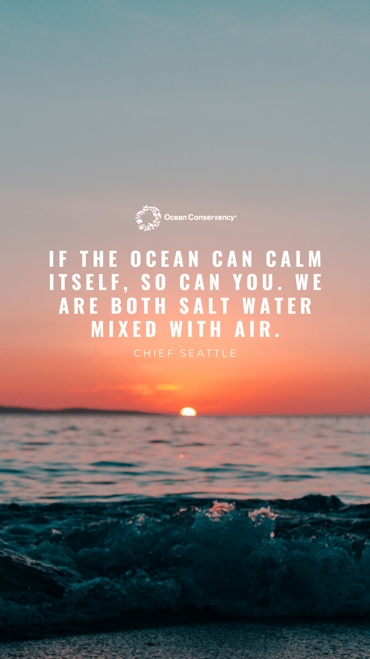 Ocean Quote Wallpapers - Top Free Ocean Quote Backgrounds - WallpaperAccess