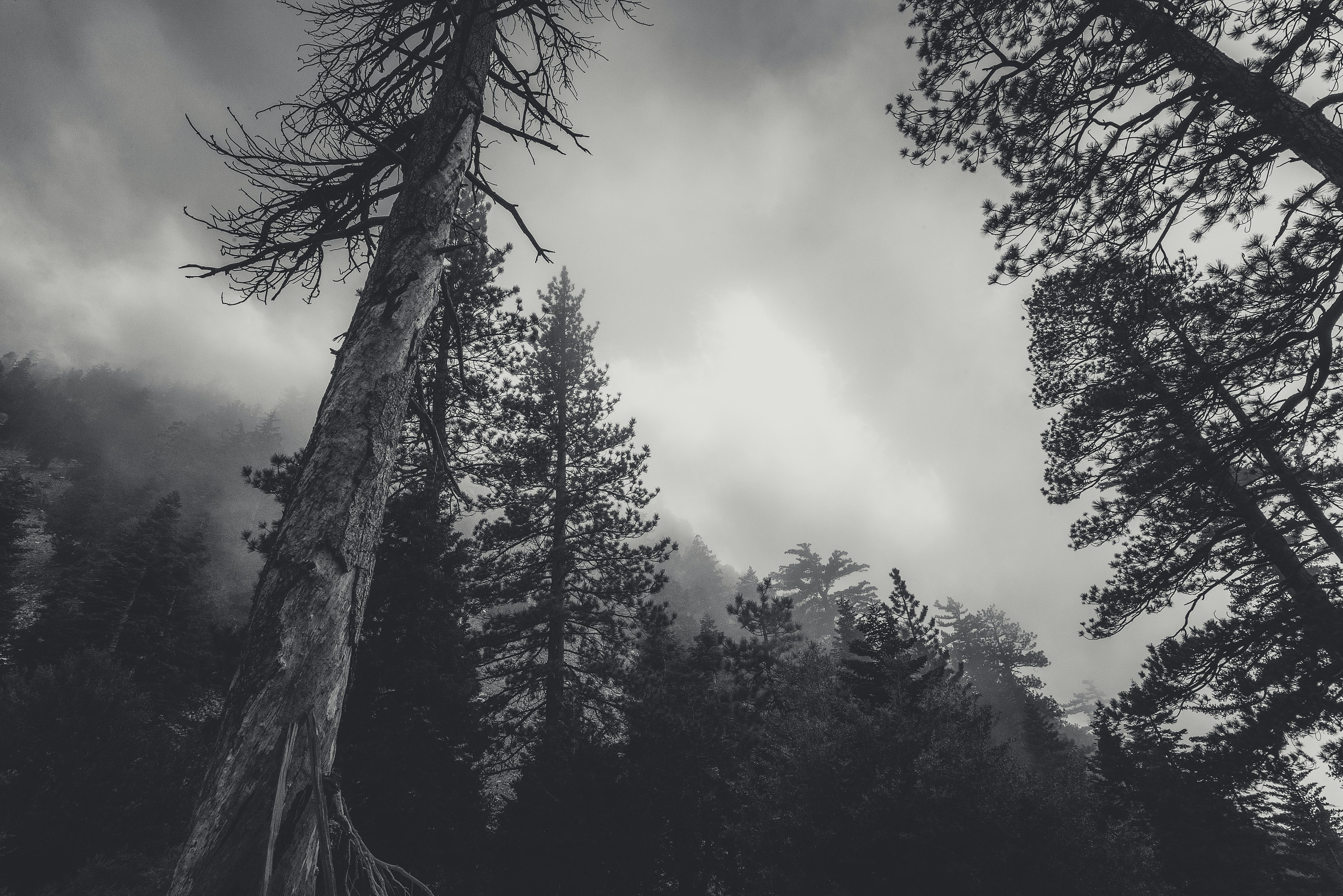 Dark Gloomy Wallpapers - Top Free Dark Gloomy Backgrounds - WallpaperAccess