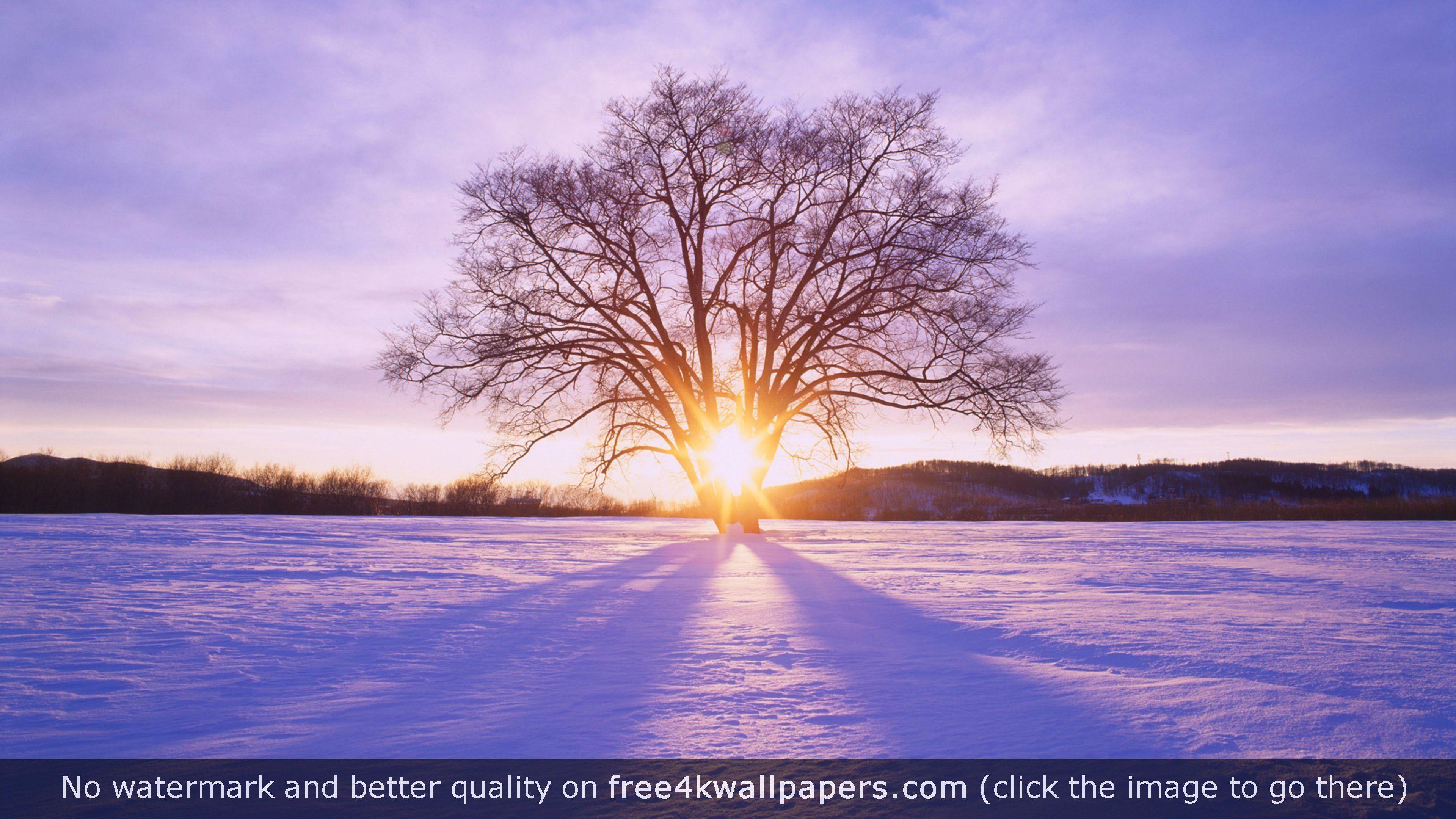 4K Snow Sunset Wallpapers - Top Free 4K Snow Sunset Backgrounds ...
