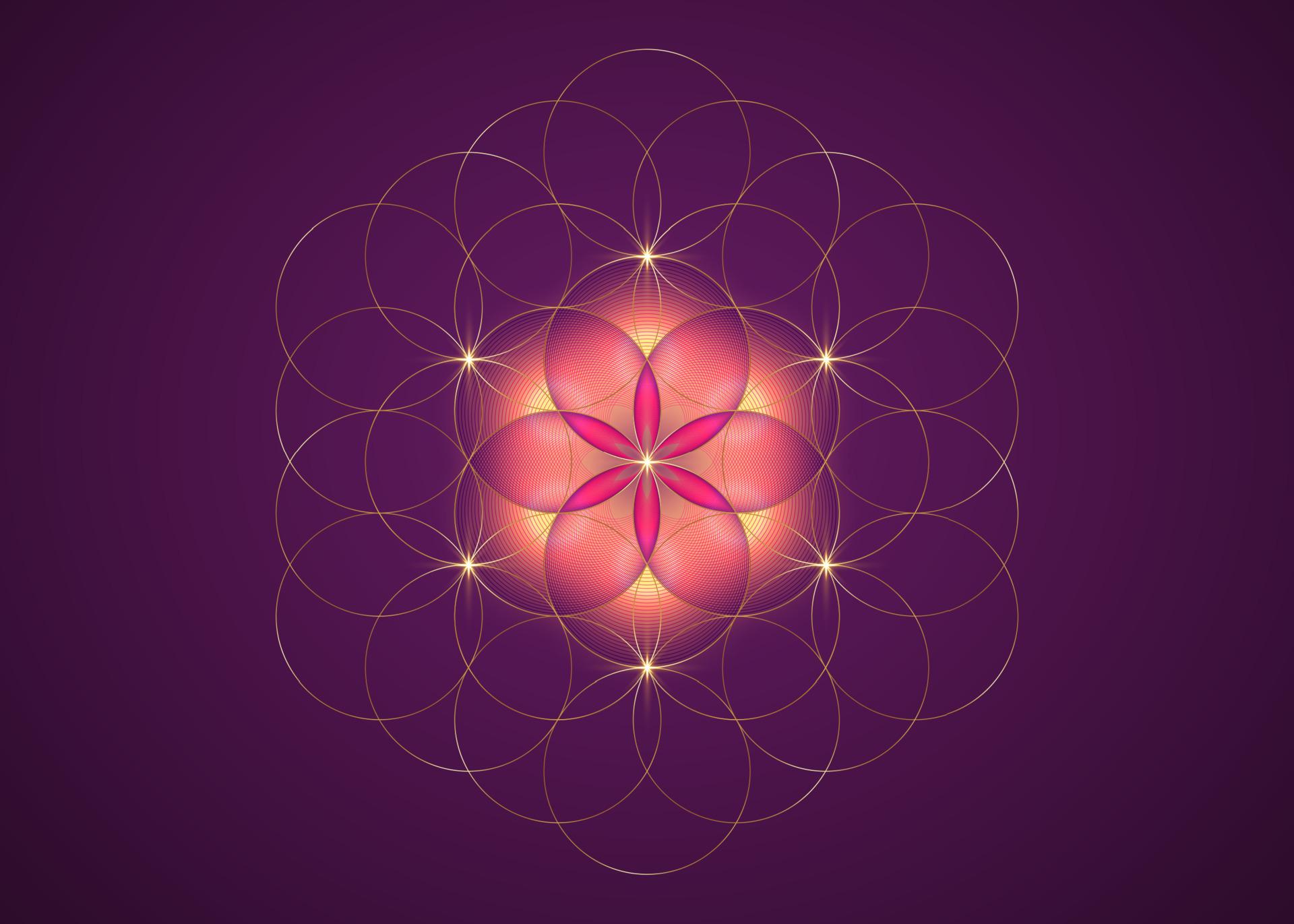 Seed of Life Wallpapers - Top Free Seed of Life Backgrounds - WallpaperAccess