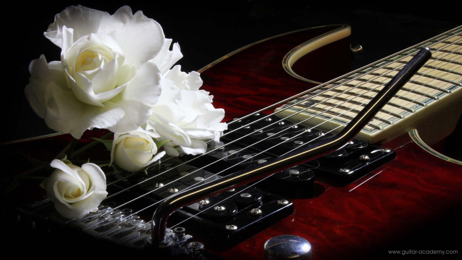 7 String Guitar Wallpapers - Top Free 7 String Guitar Backgrounds ...