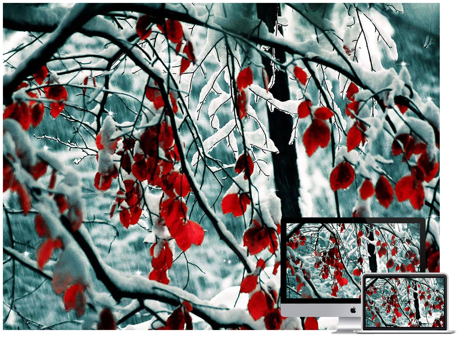 Winter Red Wallpapers - Top Free Winter Red Backgrounds - WallpaperAccess