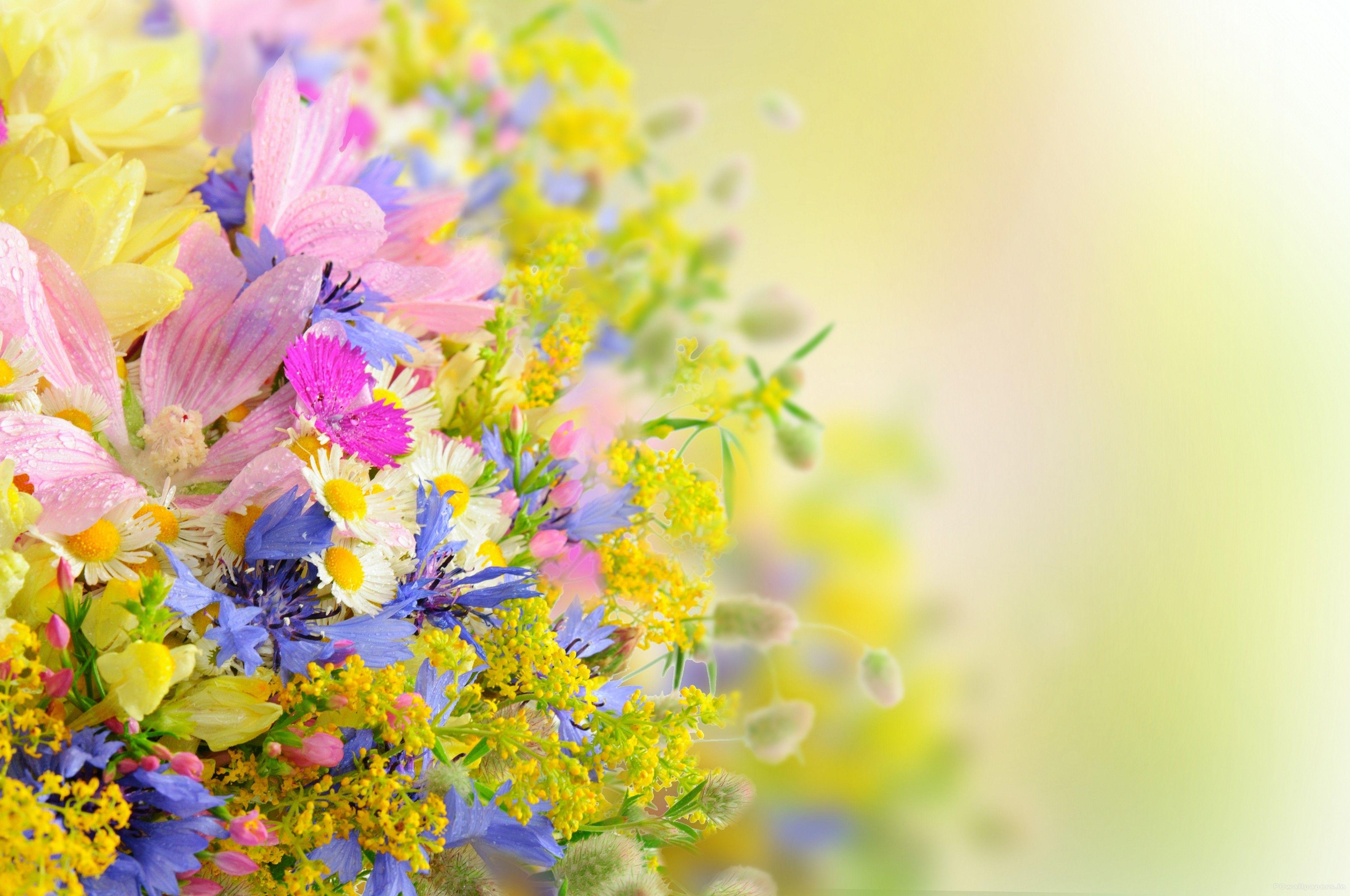 Beautiful Flower Desktop Wallpapers - Top Free Beautiful Flower Desktop ...