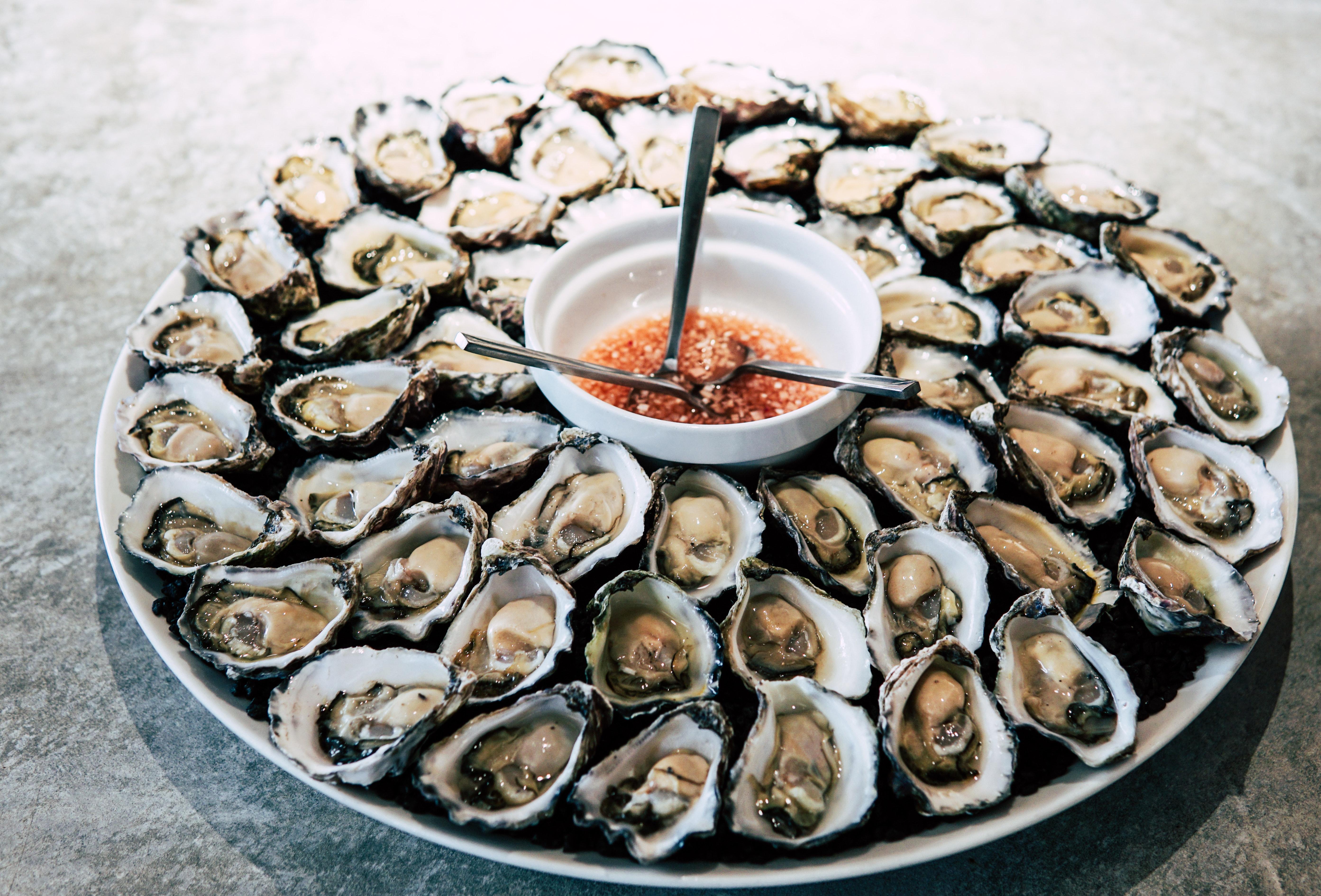 Oysters Wallpapers - Top Free Oysters Backgrounds - WallpaperAccess