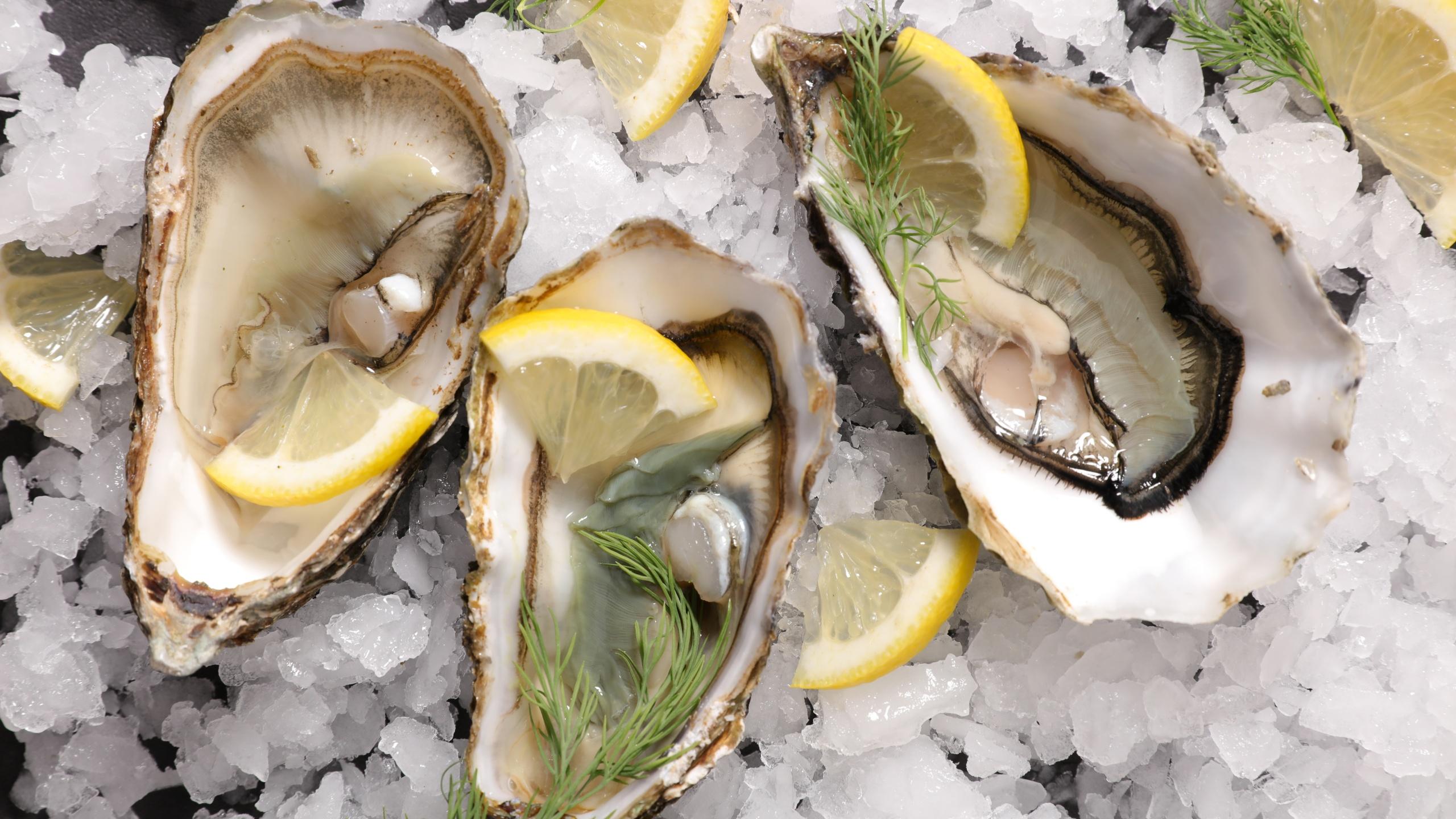 Oysters Wallpapers - Top Free Oysters Backgrounds - WallpaperAccess
