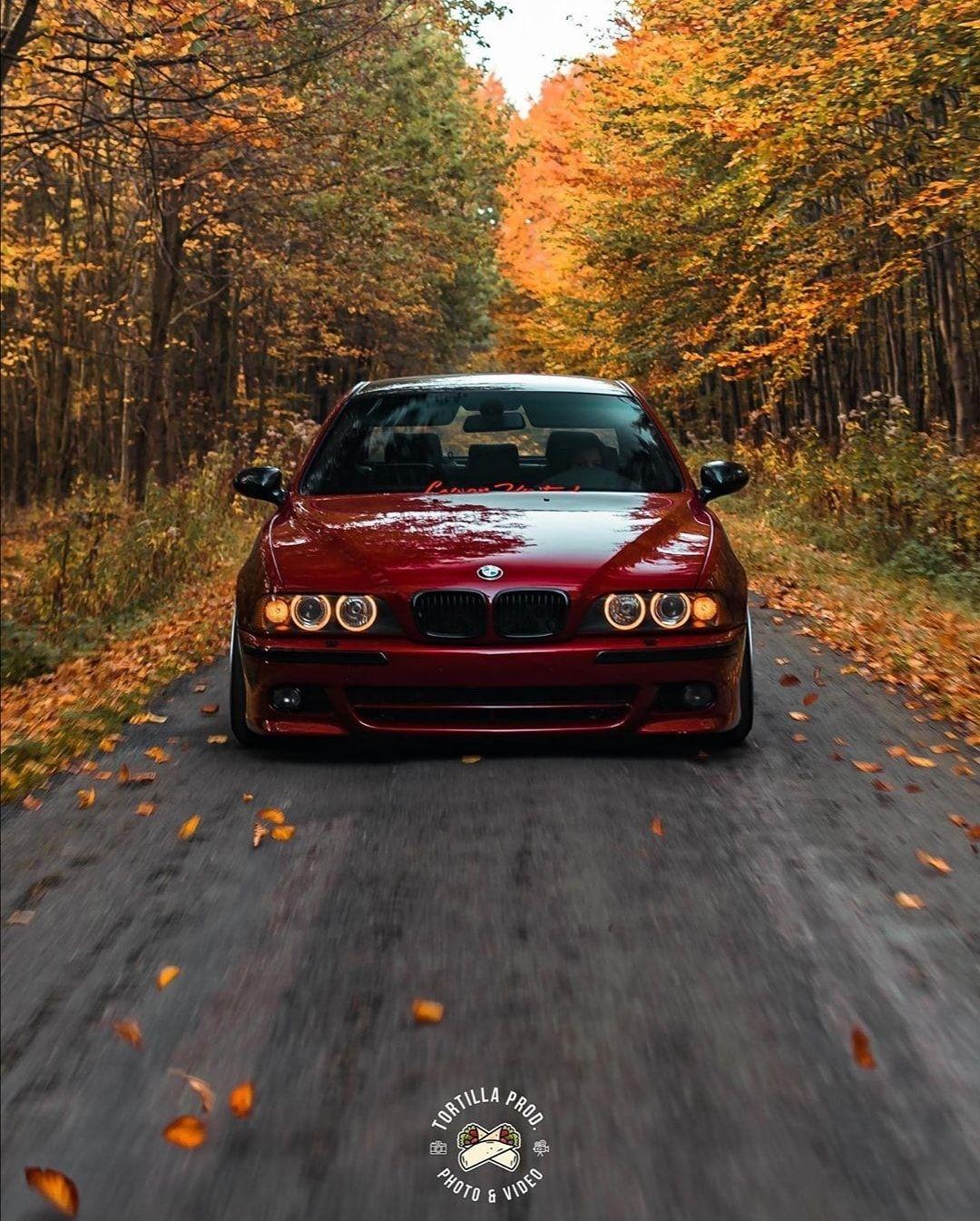 E39 Touring Wallpapers - Top Free E39 Touring Backgrounds - WallpaperAccess