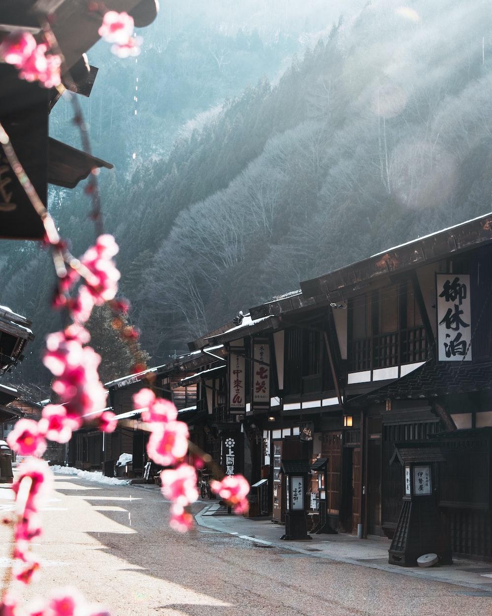 Rural Japan Wallpapers - Top Free Rural Japan Backgrounds - WallpaperAccess