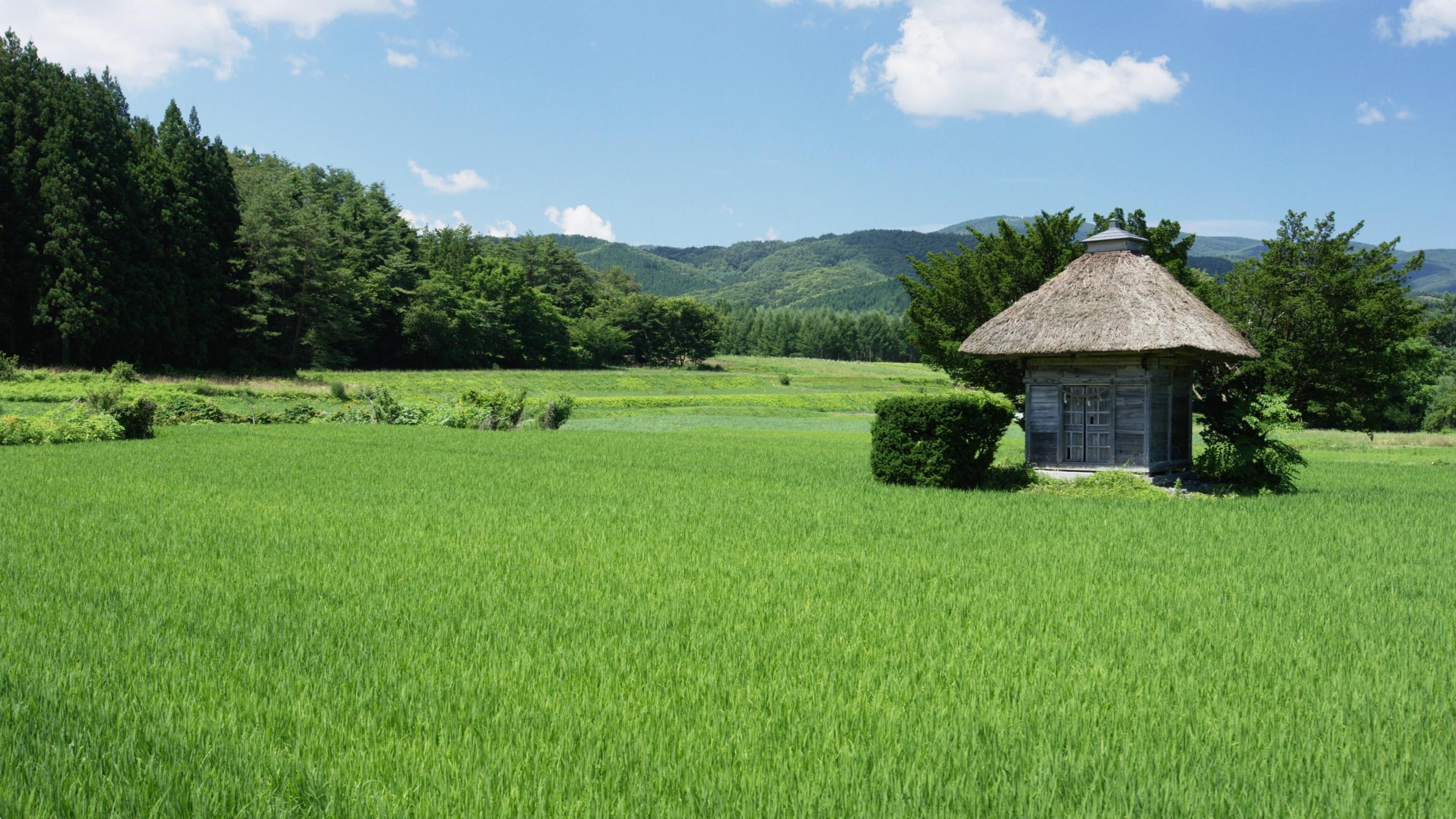 Rural Japan Wallpapers - Top Free Rural Japan Backgrounds - WallpaperAccess
