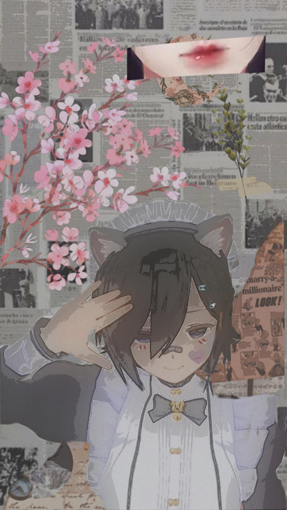 Anime Catboy Wallpapers - Top Free Anime Catboy Backgrounds ...