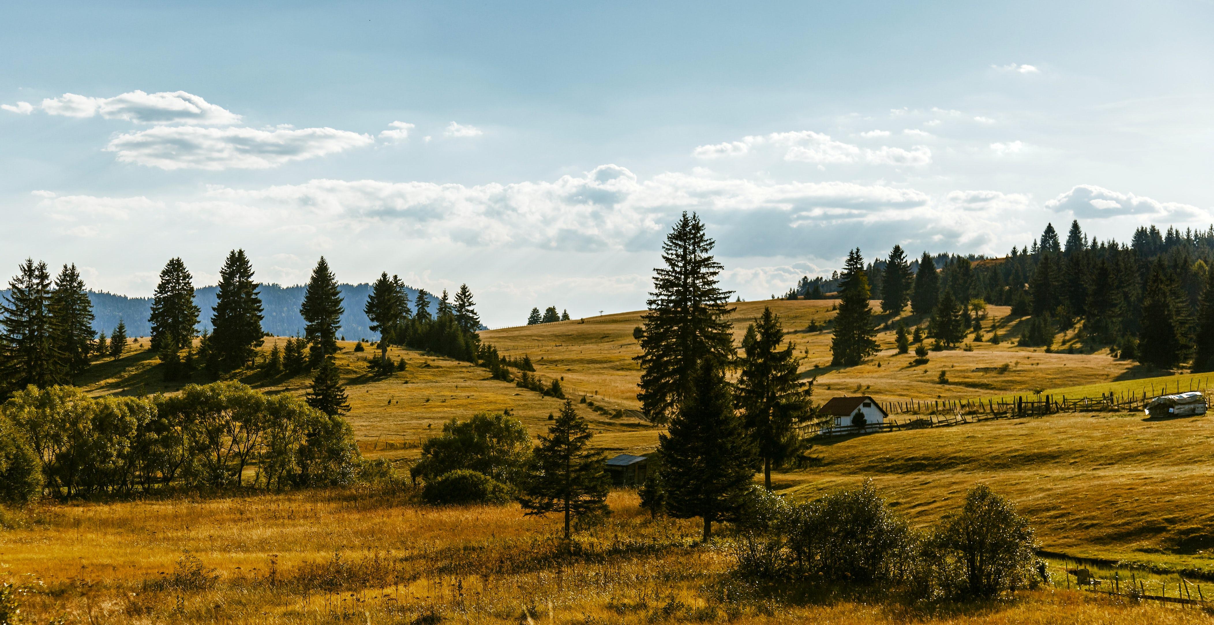 Zlatibor Wallpapers - Top Free Zlatibor Backgrounds - WallpaperAccess
