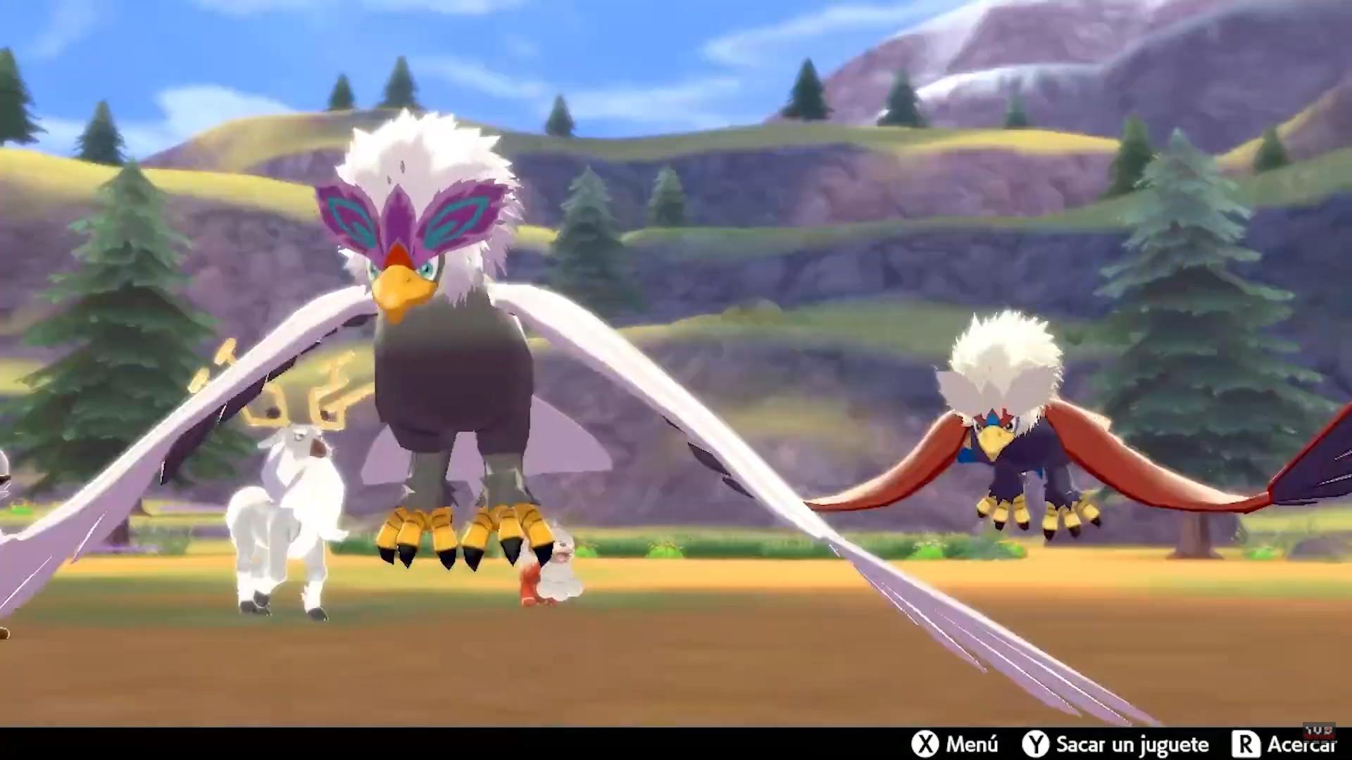 Braviary Wallpapers - Top Free Braviary Backgrounds - WallpaperAccess