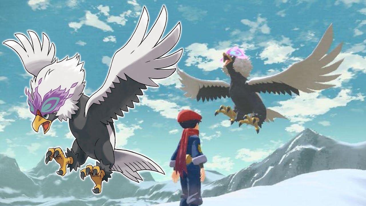 Braviary Wallpapers - Top Free Braviary Backgrounds - WallpaperAccess