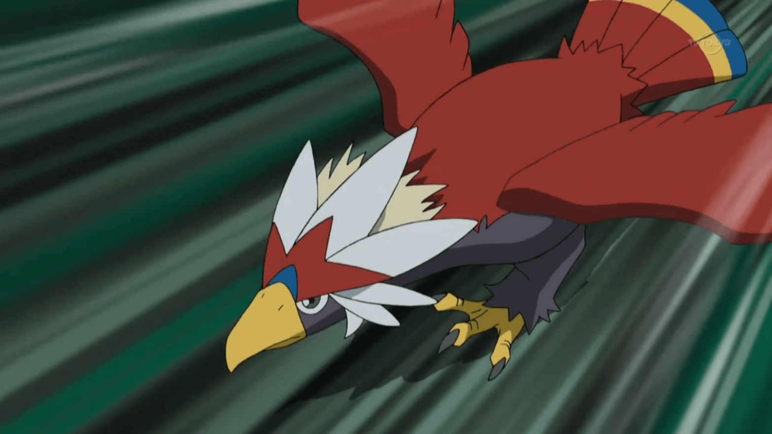 Braviary Wallpapers - Top Free Braviary Backgrounds - WallpaperAccess