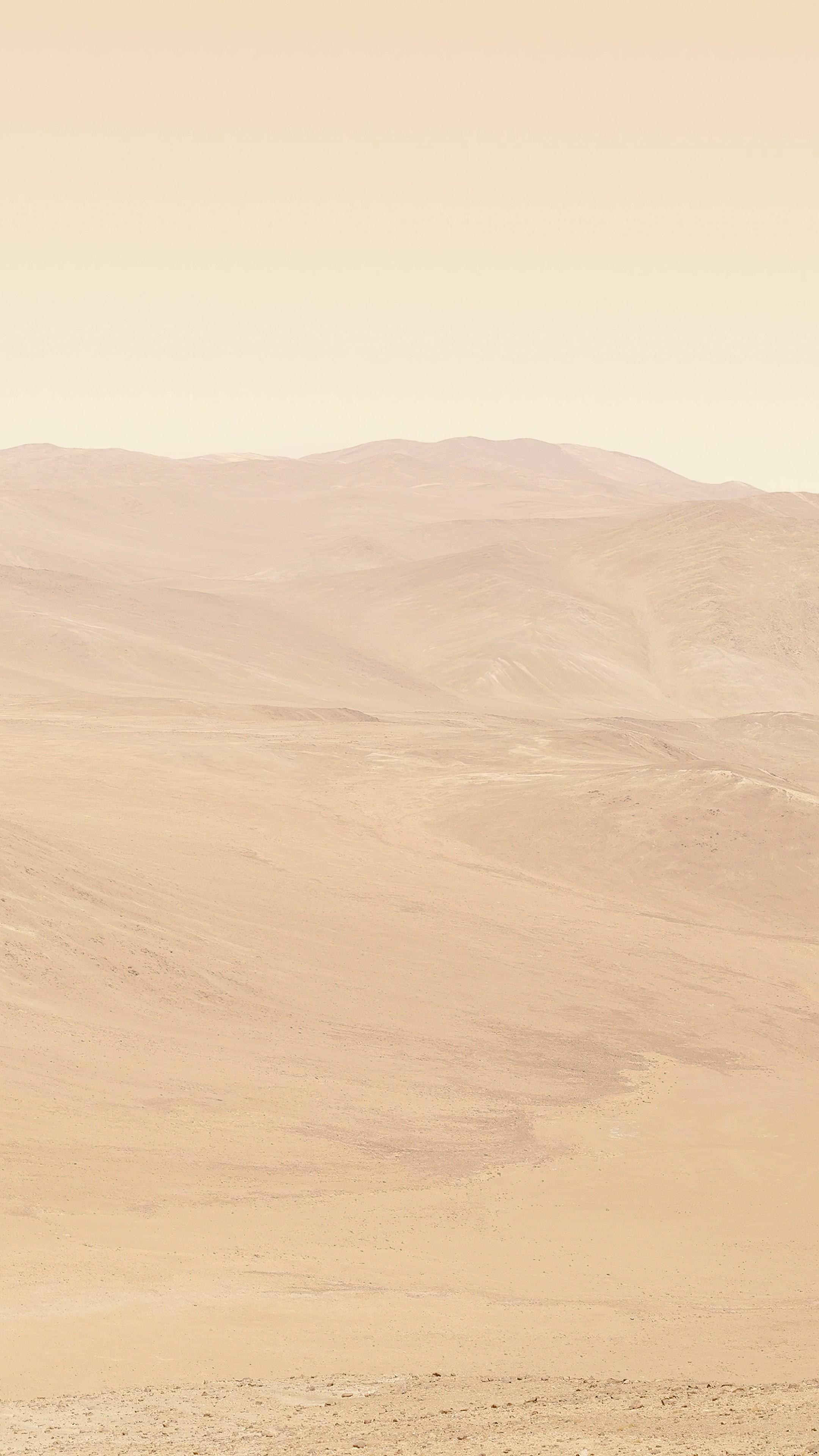 Android 12 Wallpapers - Top Free Android 12 Backgrounds - WallpaperAccess