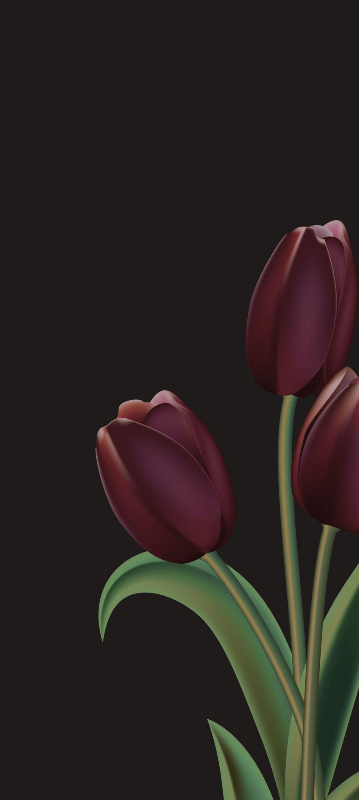 Android 12 Wallpapers - Top Free Android 12 Backgrounds - WallpaperAccess