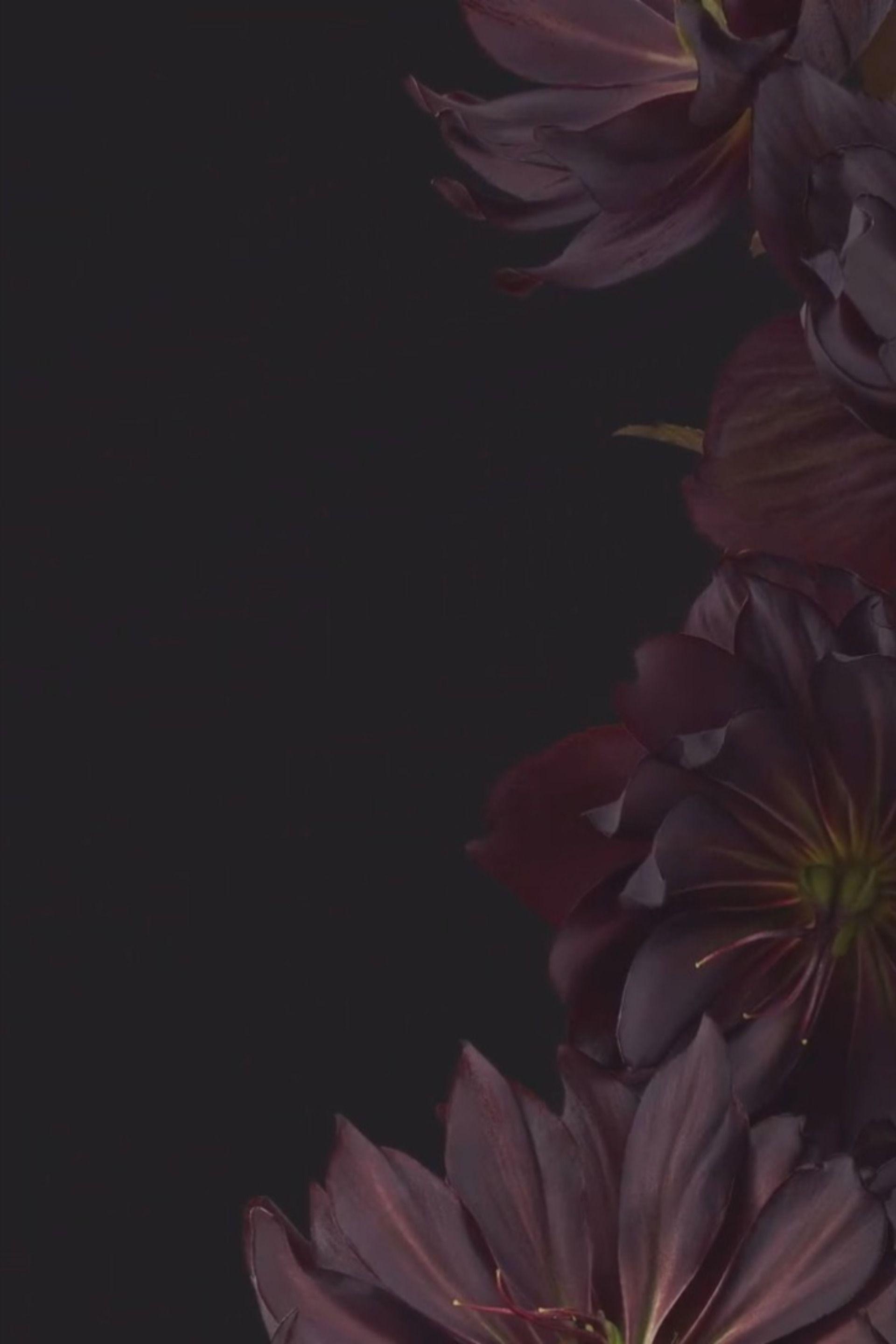 Android 12 Wallpapers - Top Free Android 12 Backgrounds - WallpaperAccess