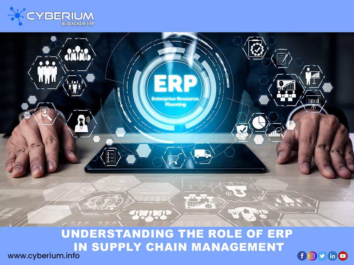 ERP Wallpapers - Top Free ERP Backgrounds - WallpaperAccess