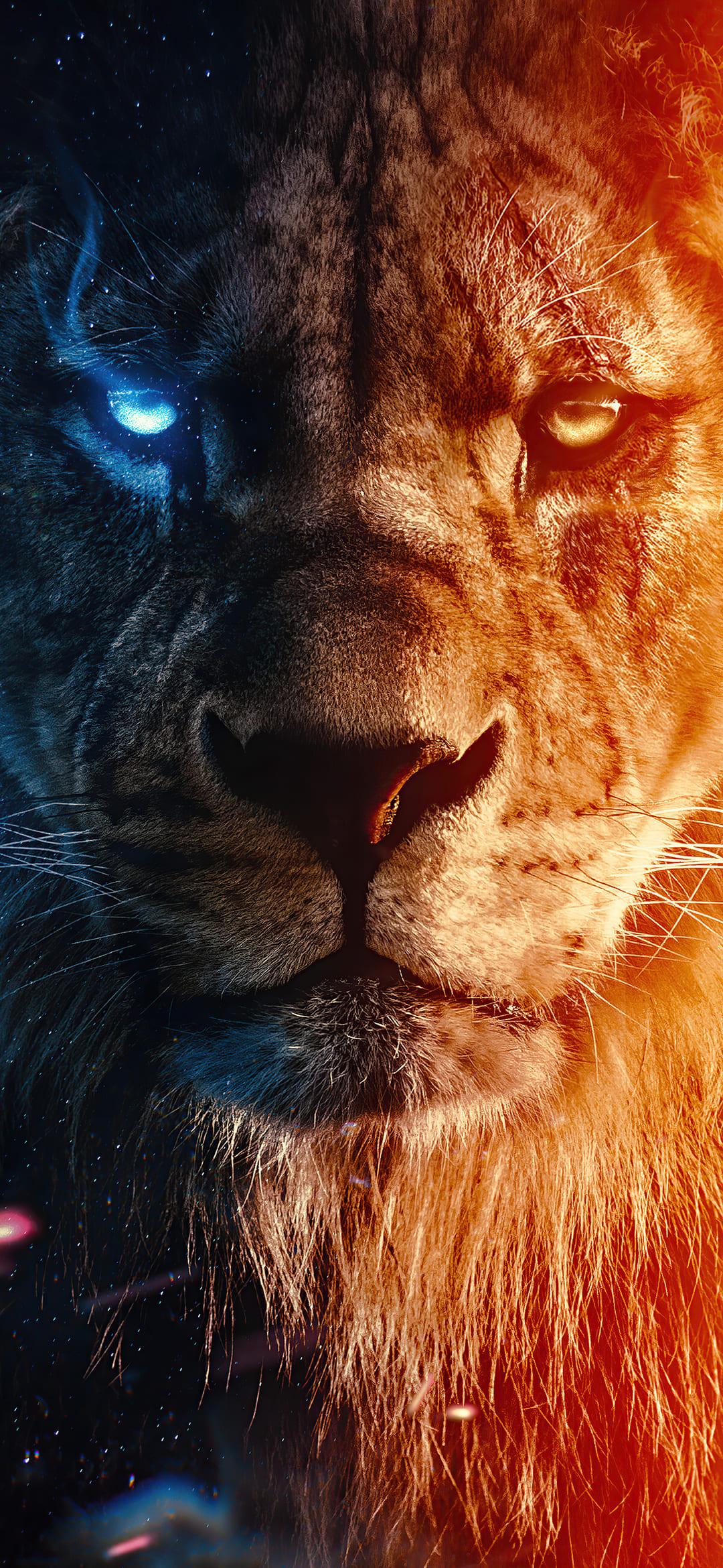Danger Lion Wallpapers - Top Free Danger Lion Backgrounds - WallpaperAccess