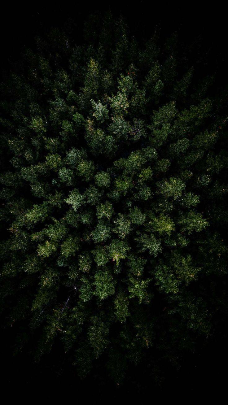 Aerial Forest Wallpapers - Top Free Aerial Forest Backgrounds ...