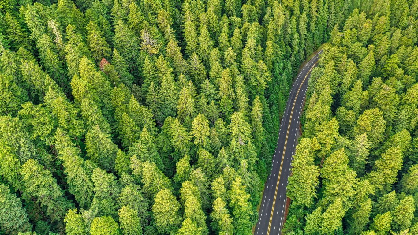 Aerial Forest Wallpapers - Top Free Aerial Forest Backgrounds ...
