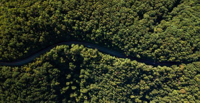 Aerial Forest Wallpapers - Top Free Aerial Forest Backgrounds ...