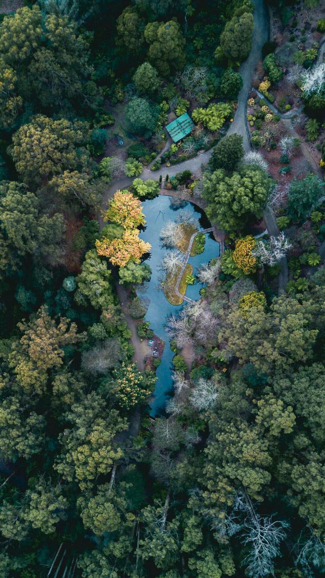 Aerial Forest Wallpapers - Top Free Aerial Forest Backgrounds ...