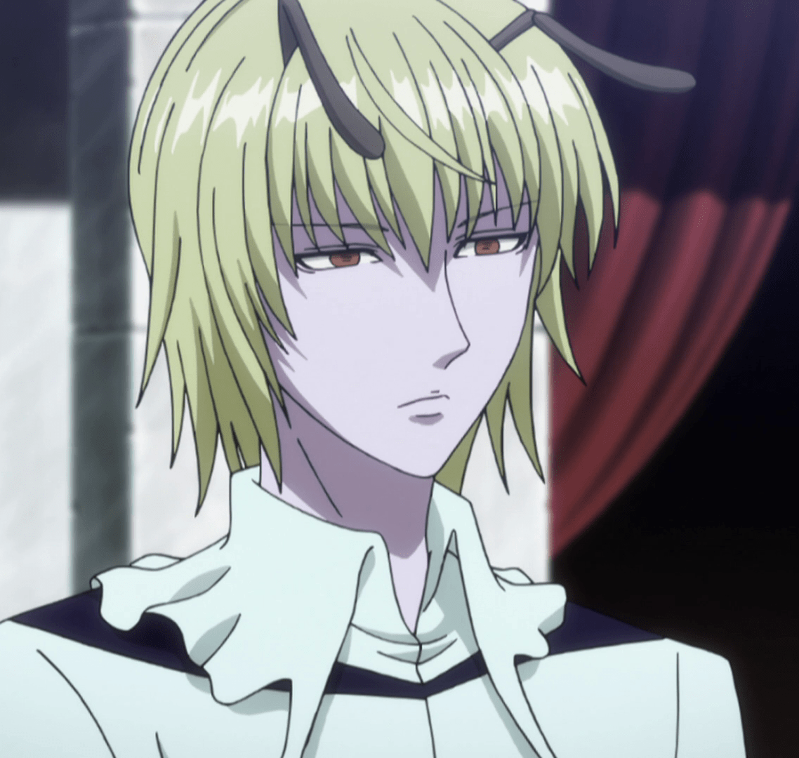 Shaiapouf Wallpapers - Top Free Shaiapouf Backgrounds - WallpaperAccess