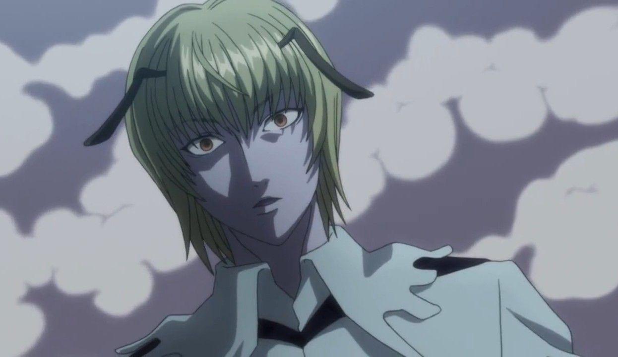 Shaiapouf Wallpapers - Top Free Shaiapouf Backgrounds - WallpaperAccess