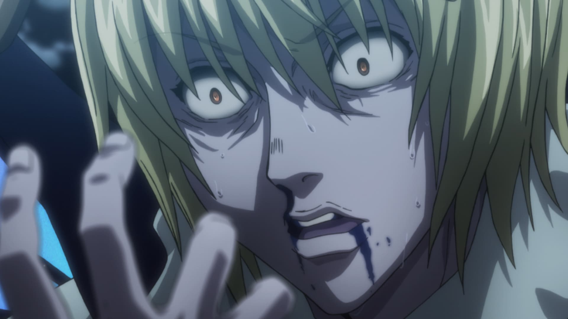 Shaiapouf Wallpapers - Top Free Shaiapouf Backgrounds - WallpaperAccess