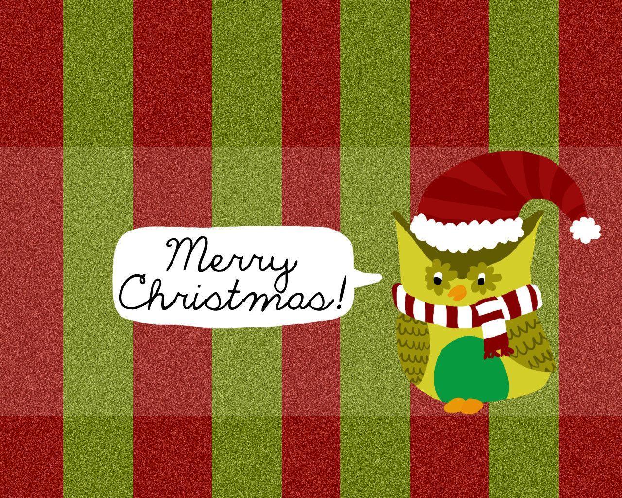 Cute Christmas Owl Wallpapers - Top Free Cute Christmas Owl Backgrounds ...