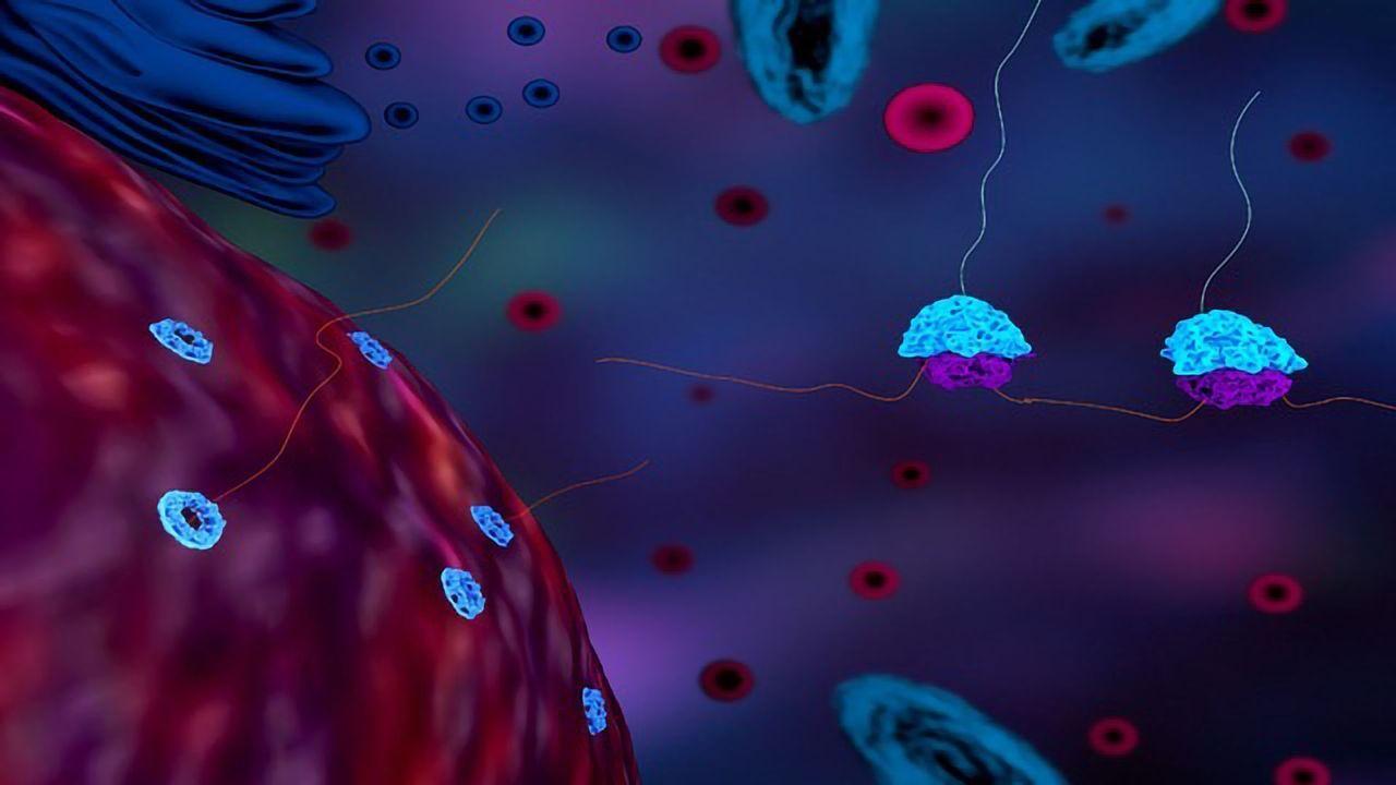 Ribosome Wallpapers - Top Free Ribosome Backgrounds - WallpaperAccess