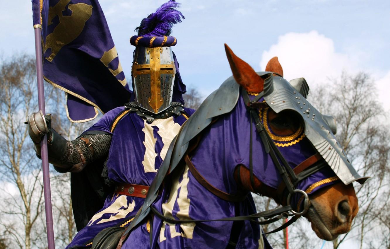 Purple Knight Wallpapers - Top Free Purple Knight Backgrounds ...