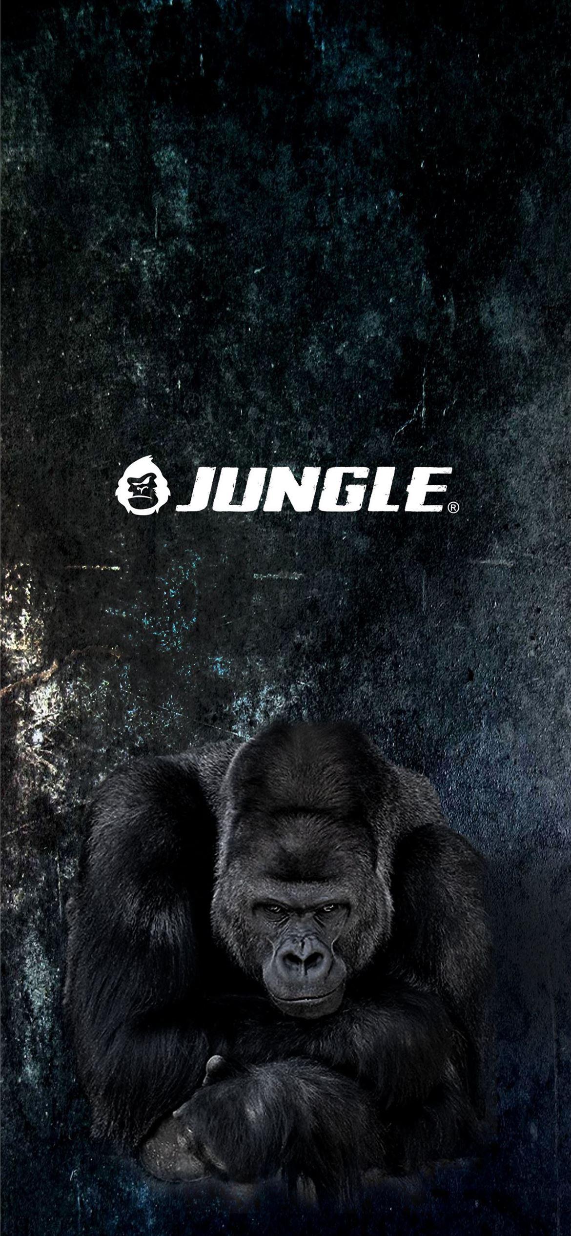 Gorrilla Wallpapers - Top Free Gorrilla Backgrounds - WallpaperAccess