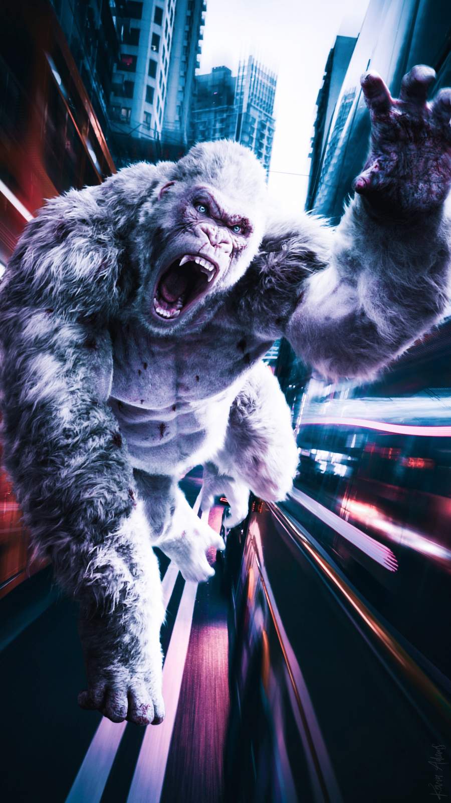 Gorrilla Wallpapers - Top Free Gorrilla Backgrounds - WallpaperAccess